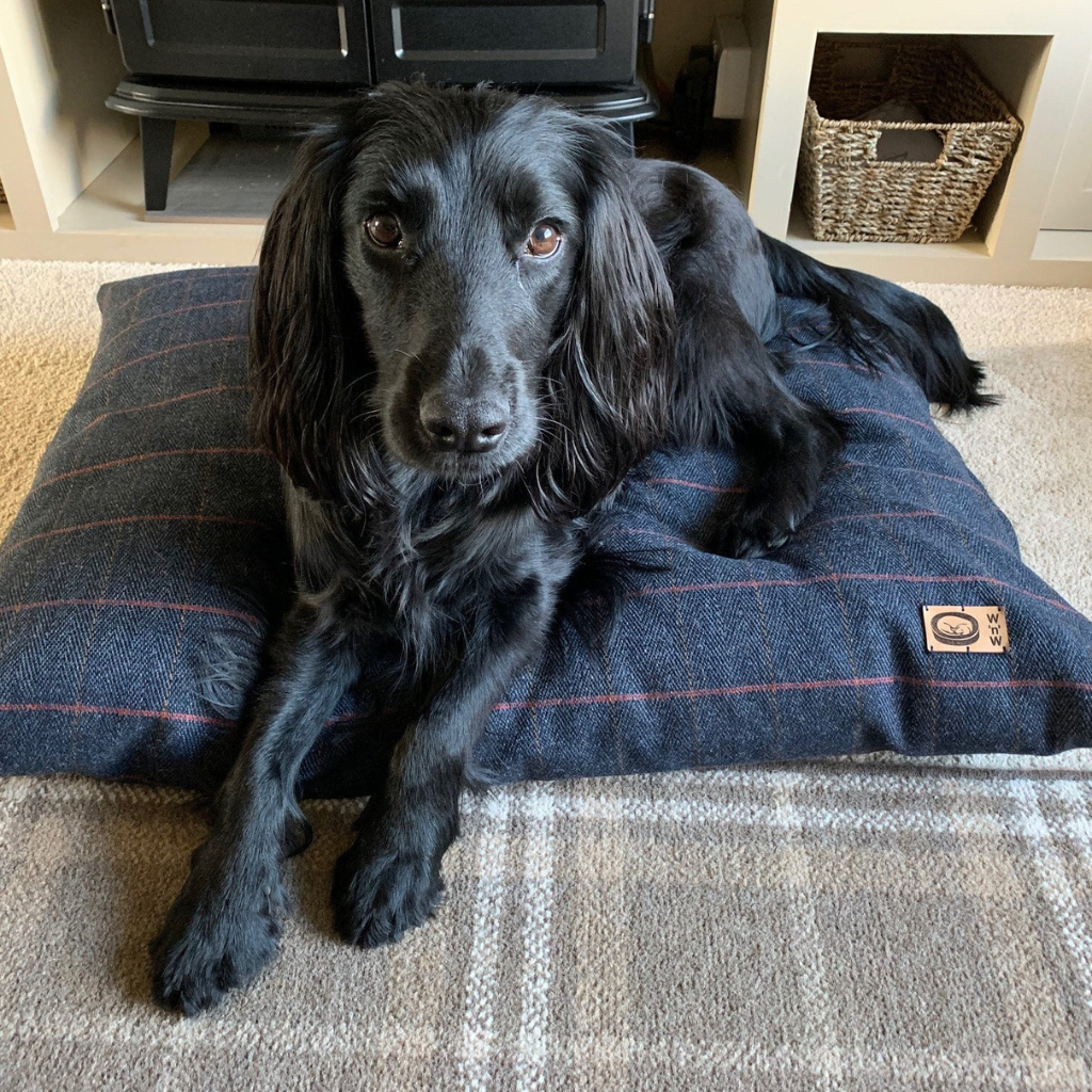 Wool Filled Beds – Wool'n'Woofers